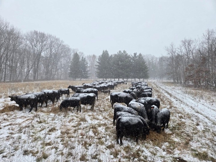 Newsletter from Rep. Miller: Do Democrats Want To See Illinois Burn ...